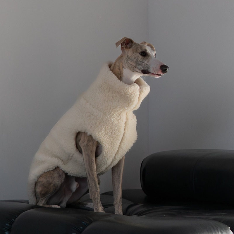 Whippet Dog Coat Pattern - Etsy