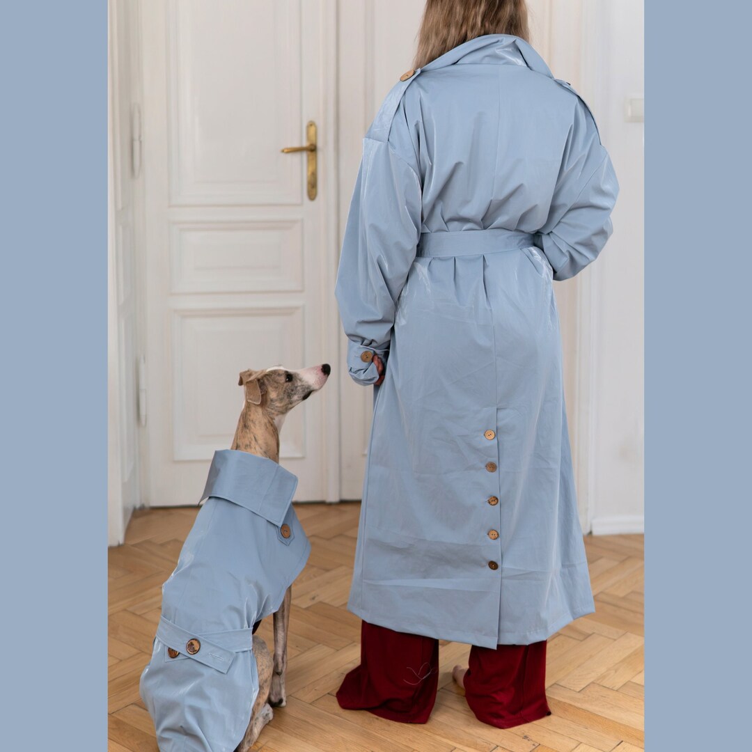 Matching Dog and Owner Trench Coats – Light Blue Sustainable Fashion - Etsy