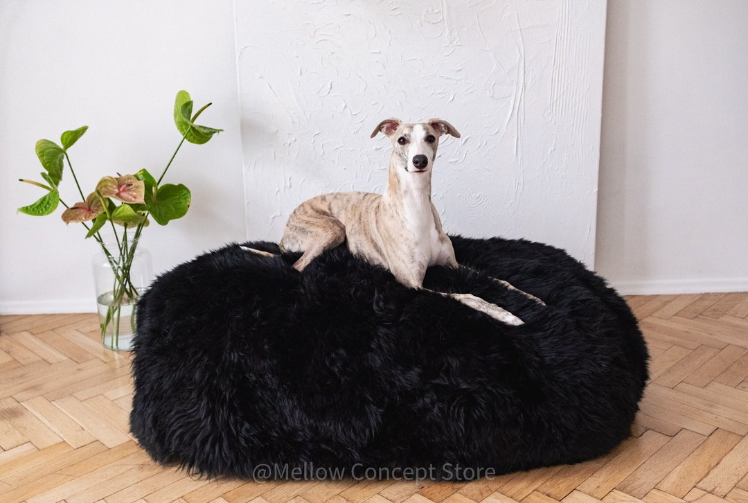 Black Oval Luxurious Natural Sheepskin Pet Bed! Sheepskin Dog Bed, Cat ...