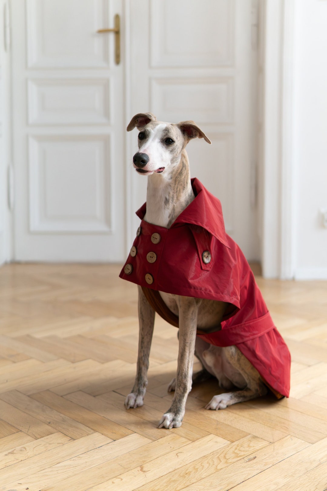 Eco-friendly Burgundy Red Trench Coat for Dogs - Matching Owner-dog ...