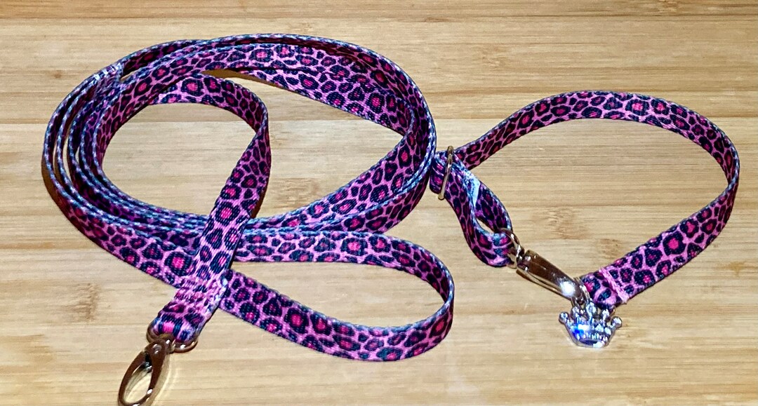 Hot Pink Leopard Collar and Leash Set for Cat or Dog, .5" Wide ...