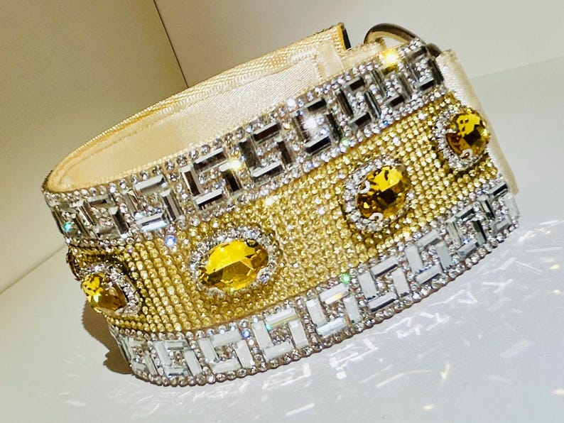 Xanthous Rhinestone Dog Collar, Extreme Sparkle, Pet Glam, High-end ...