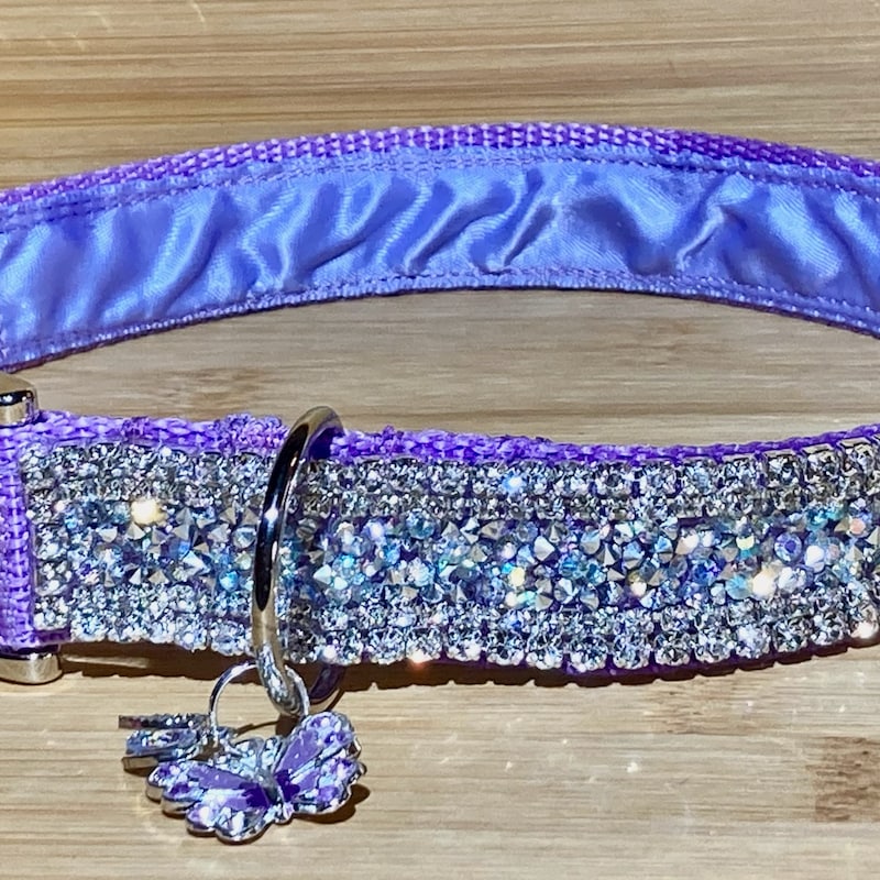Bling Dog Collar - Etsy