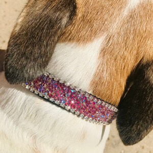 Ruby Radiant Aurora Borealis Crystal Rhinestone Dog or Cat Collar 3/4 ...