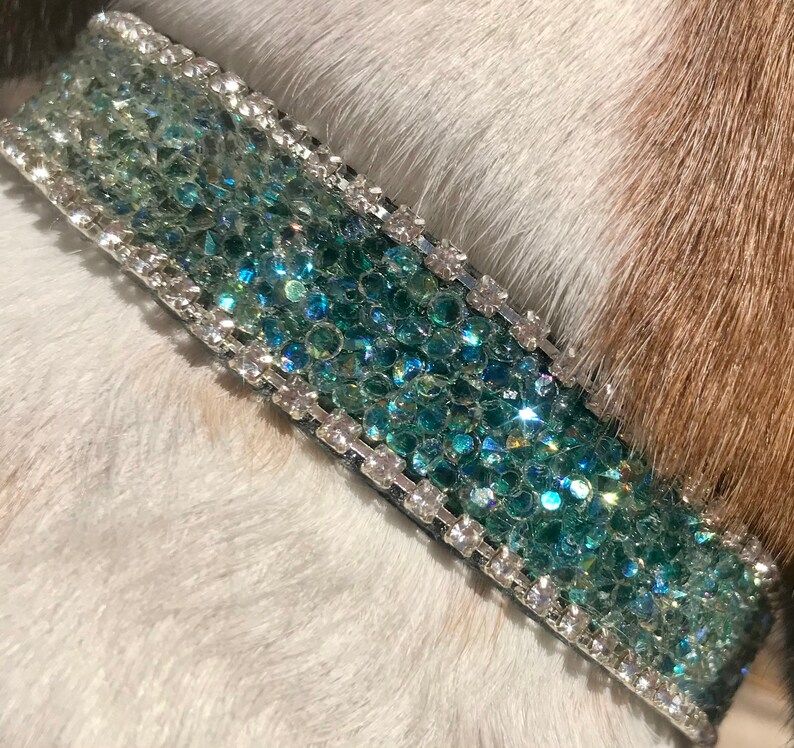 Emerald Elegant Aurora Borealis Crystal Rhinestone Dog or Cat Collar 3/ ...