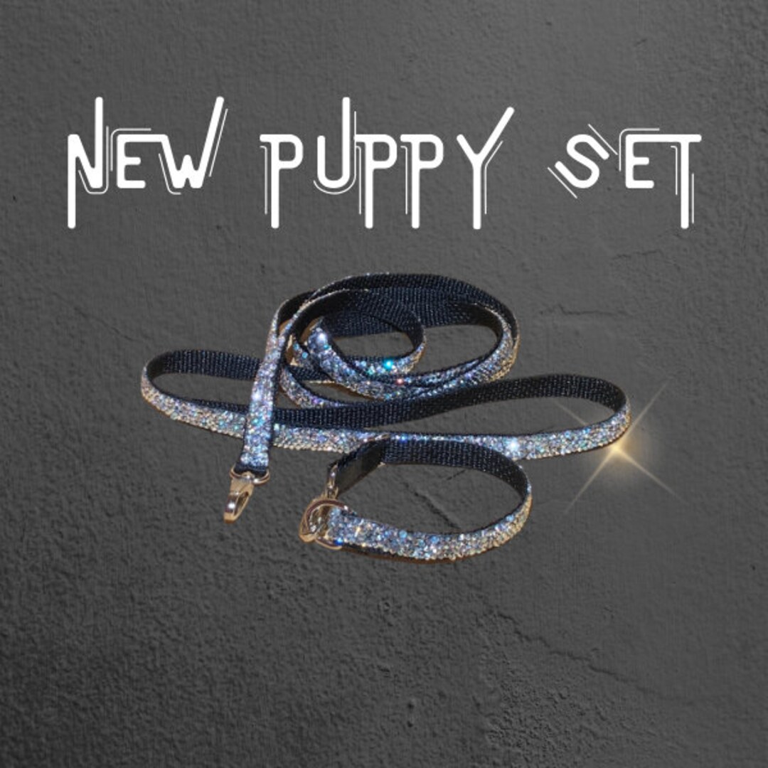 Wild One Rhinestone Sparkle Glam Gift Set for New Puppy, Cat or Tea Cup ...