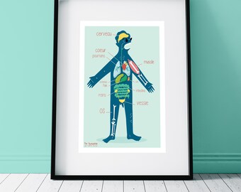 Human Organs Poster - Etsy