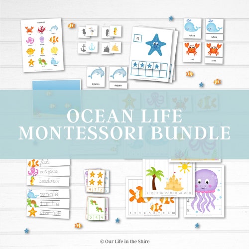 Ocean Life ULTIMATE Bundle Homeschool Printable Activities - Etsy