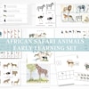 Skip Counting African Safari Animals | Homeschool Printable Activities ...