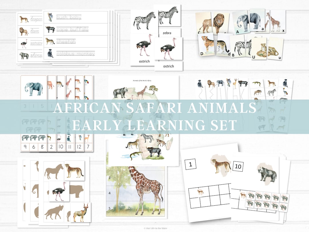 African Safari Animals, Early Learning Bundle, Kindergarten, Homeschool ...