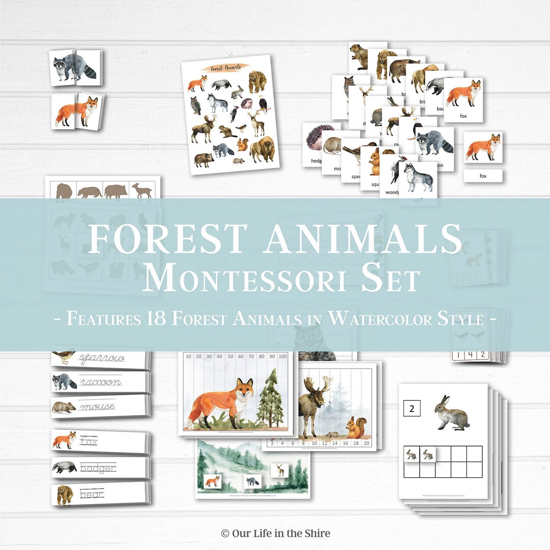 Montessori Forest Animals, Homeschool Printable Activities, Preschool ...