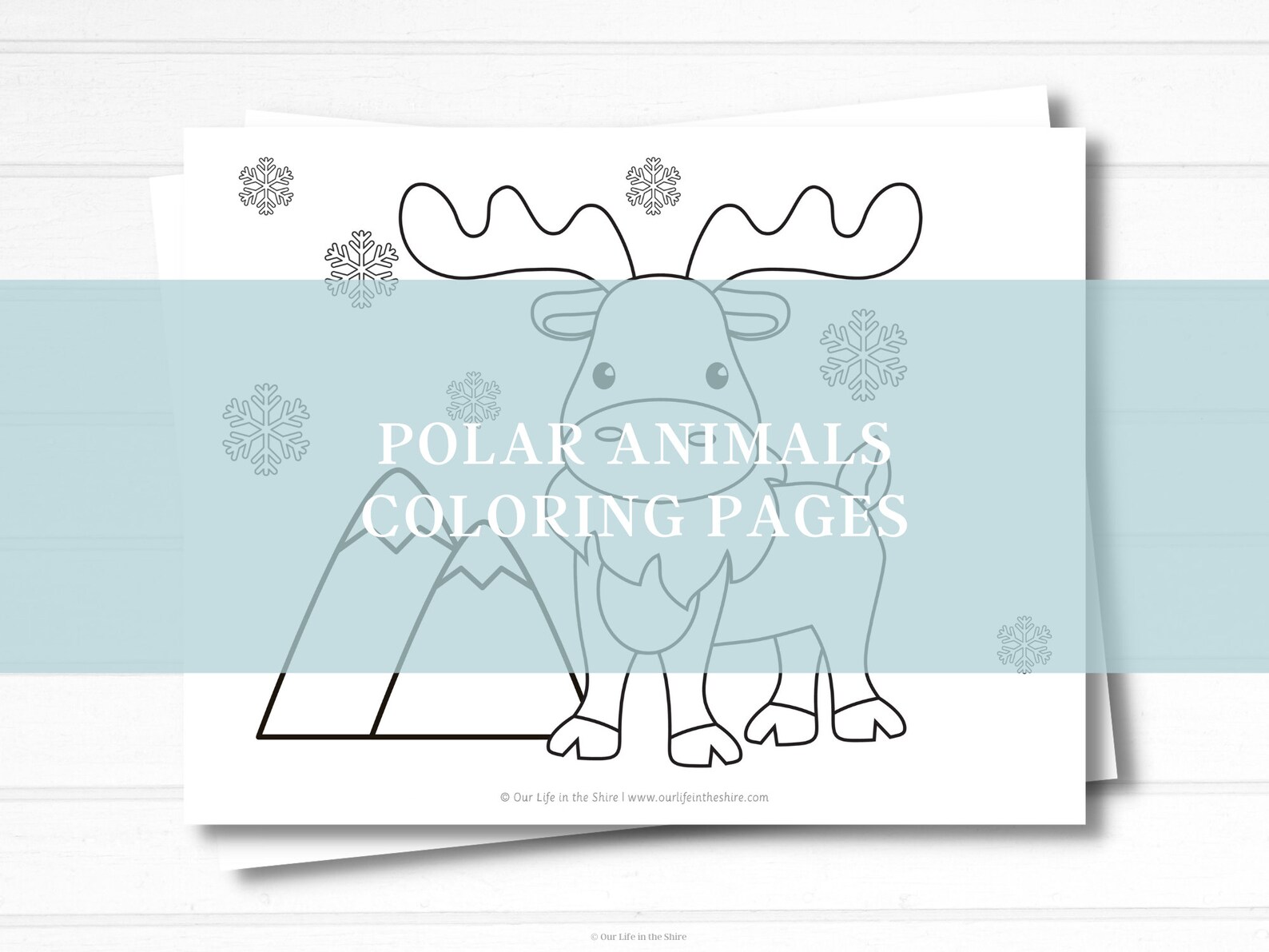 Polar Animals Coloring Pages, Activities for Kids, Toddlers, Preschool ...