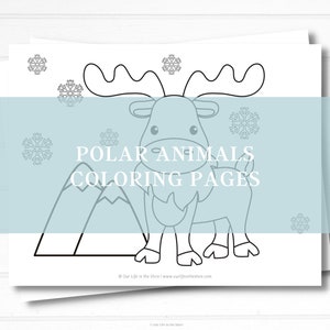 Polar Animals Coloring Pages, Activities for Kids, Toddlers, Preschool ...