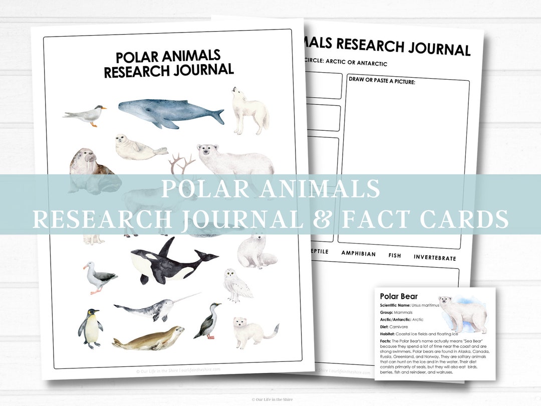Polar Animals Research Journal and Fact Cards, Science Unity Study ...