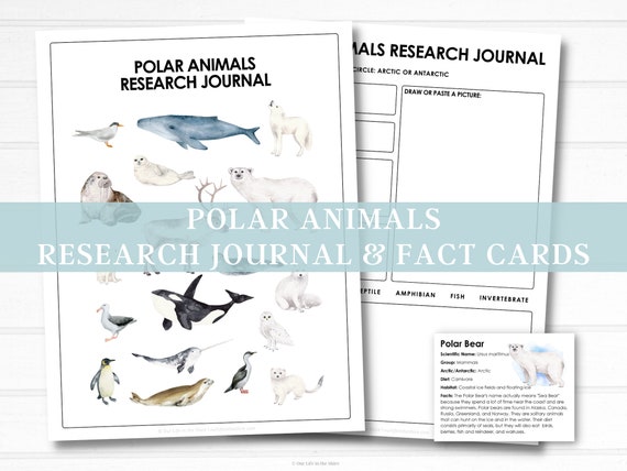 Polar Animals Research Journal and Fact Cards Science Unity | Etsy