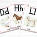 Farm Theme, Alphabet Posters, Flash Cards, Classroom Decor, Homeschool ...