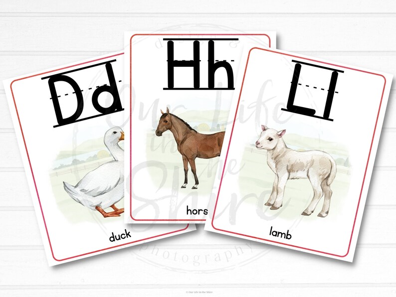 Farm Theme Alphabet Posters Flash Cards Classroom Decor - Etsy
