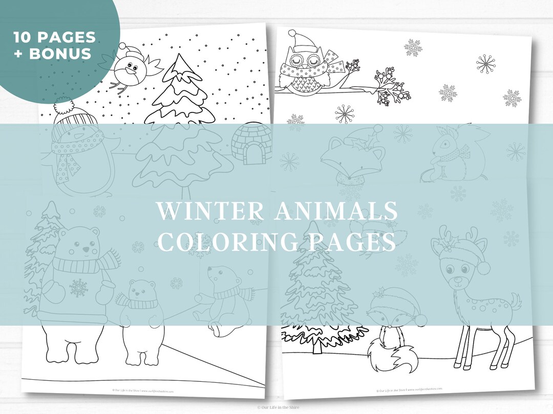 Winter Animals Coloring Pages, Activities for Kids, Toddlers, Preschool ...