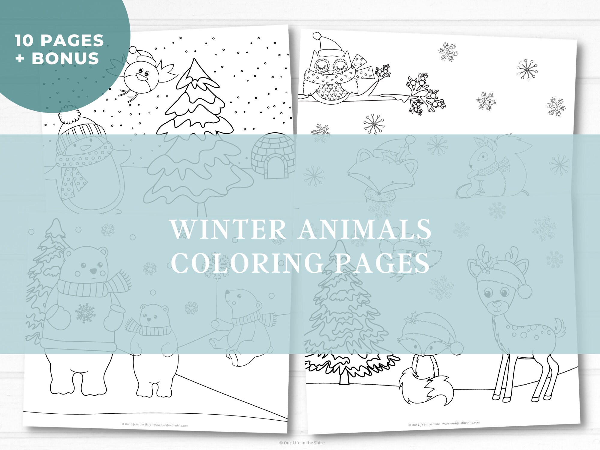 Winter Animals Coloring Pages, Activities for Kids, Toddlers, Preschool ...