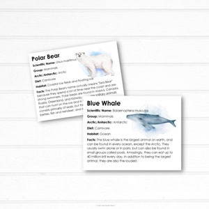 Polar Animals Research Journal and Fact Cards, Science Unity Study ...