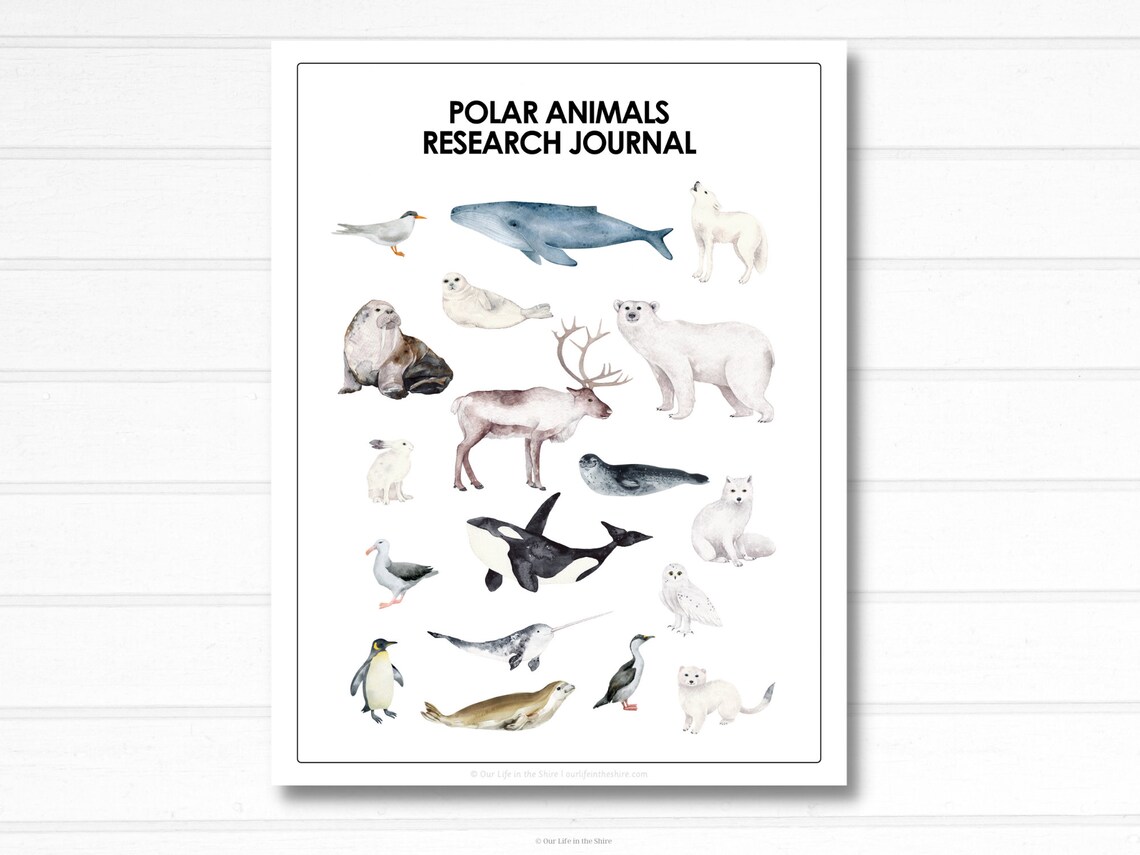 Polar Animals Research Journal and Fact Cards Science Unity | Etsy