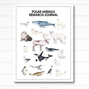 Polar Animals Research Journal and Fact Cards, Science Unity Study ...