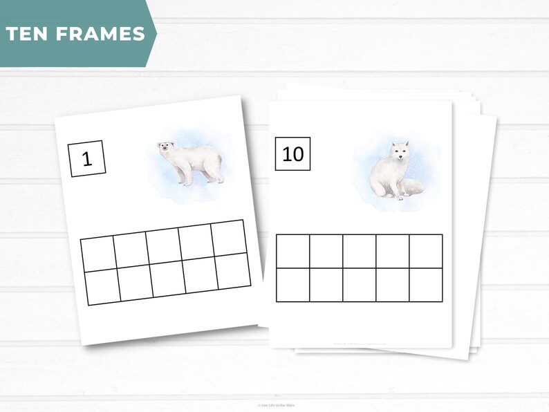 Polar Animals Early Learning Activities Kindergarten - Etsy