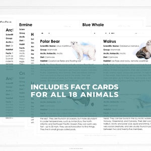 Polar Animals Research Journal and Fact Cards, Science Unity Study ...
