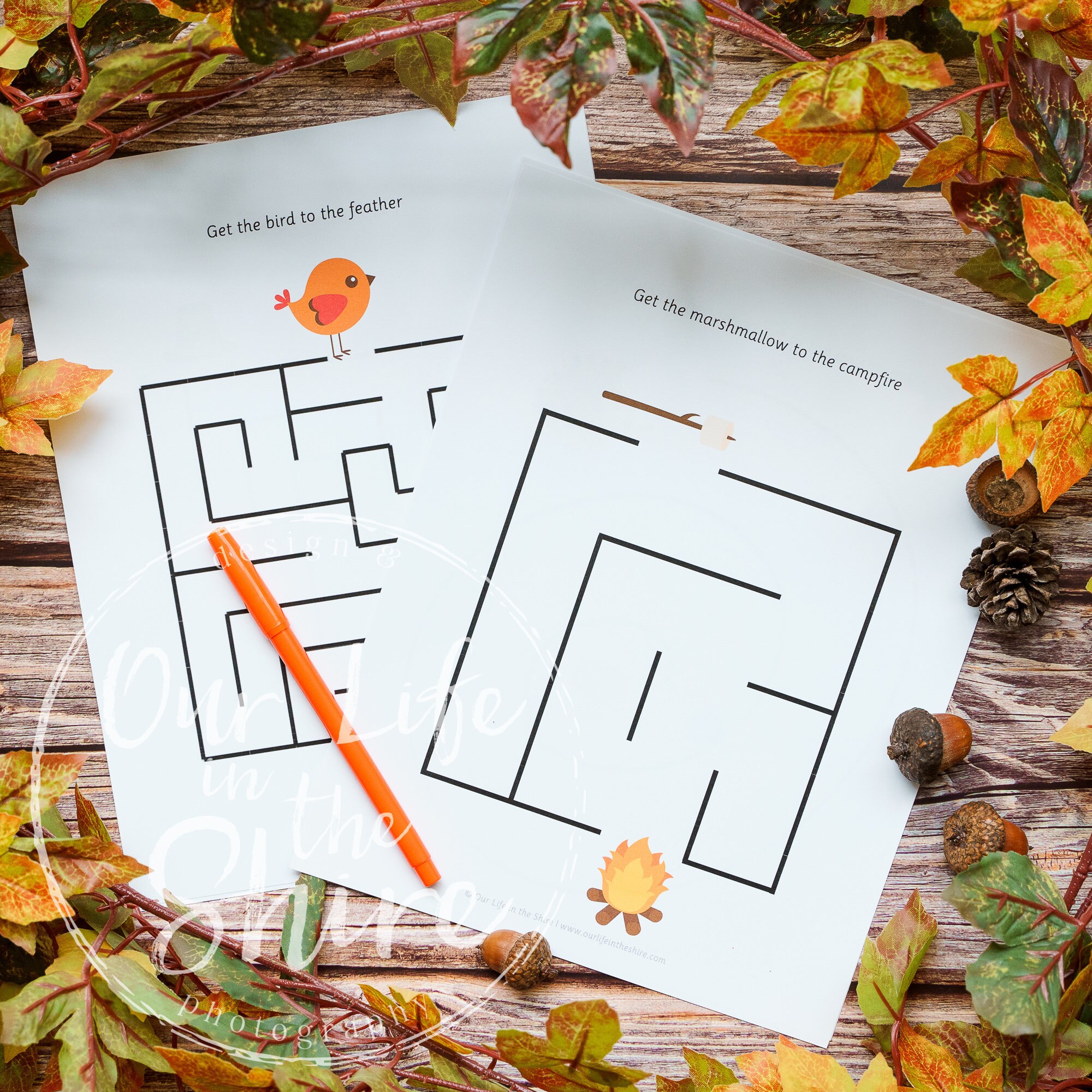 Fall Forest Friends Fun & Games Homeschool Printable | Etsy