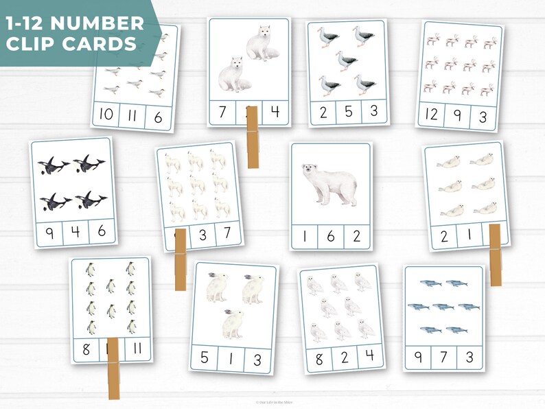 Polar Animals Early Learning Activities Kindergarten - Etsy