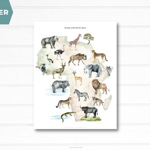 African Safari Animals, Early Learning Bundle, Kindergarten, Homeschool ...