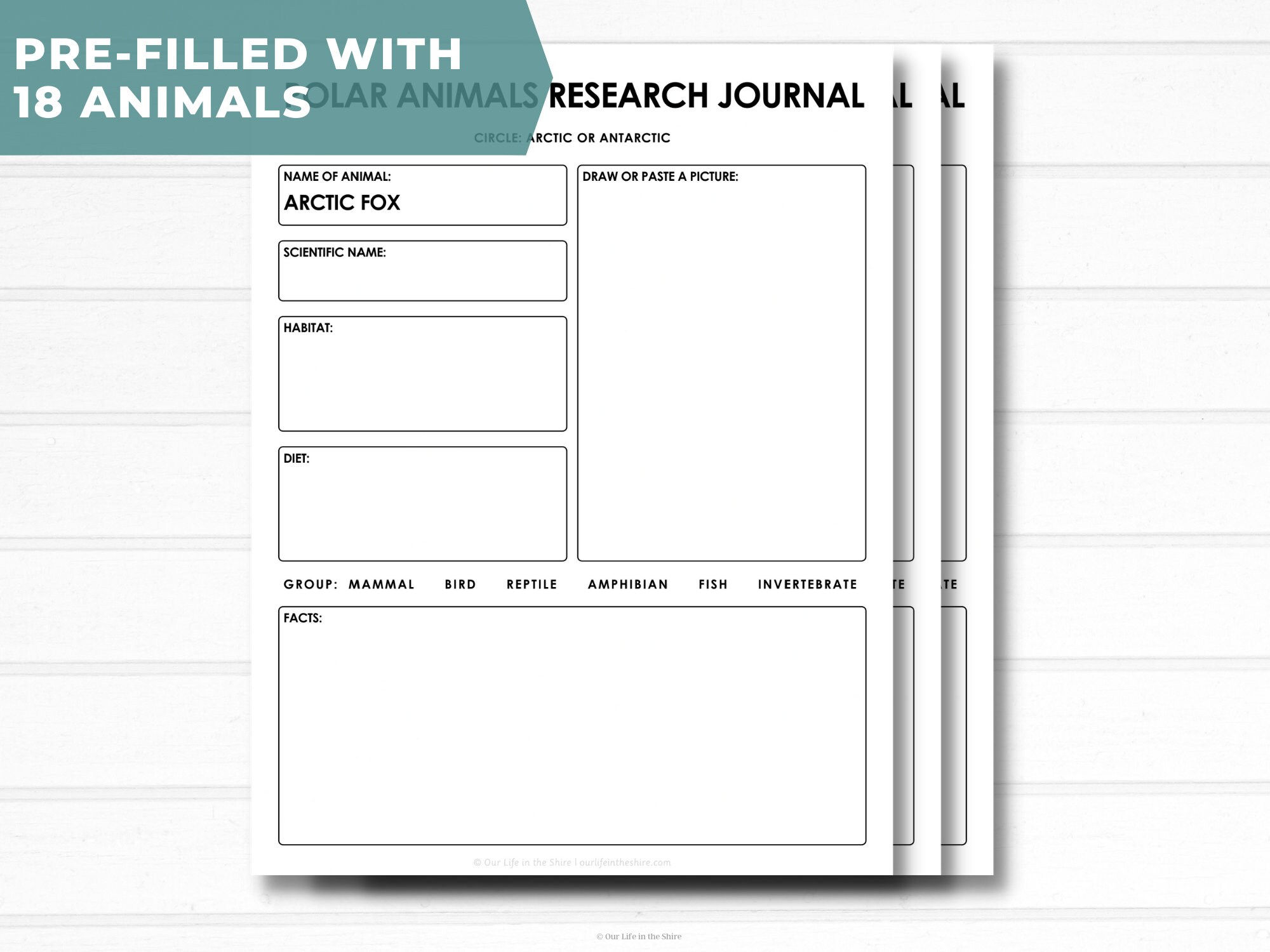 Polar Animals Research Journal and Fact Cards Science Unity | Etsy