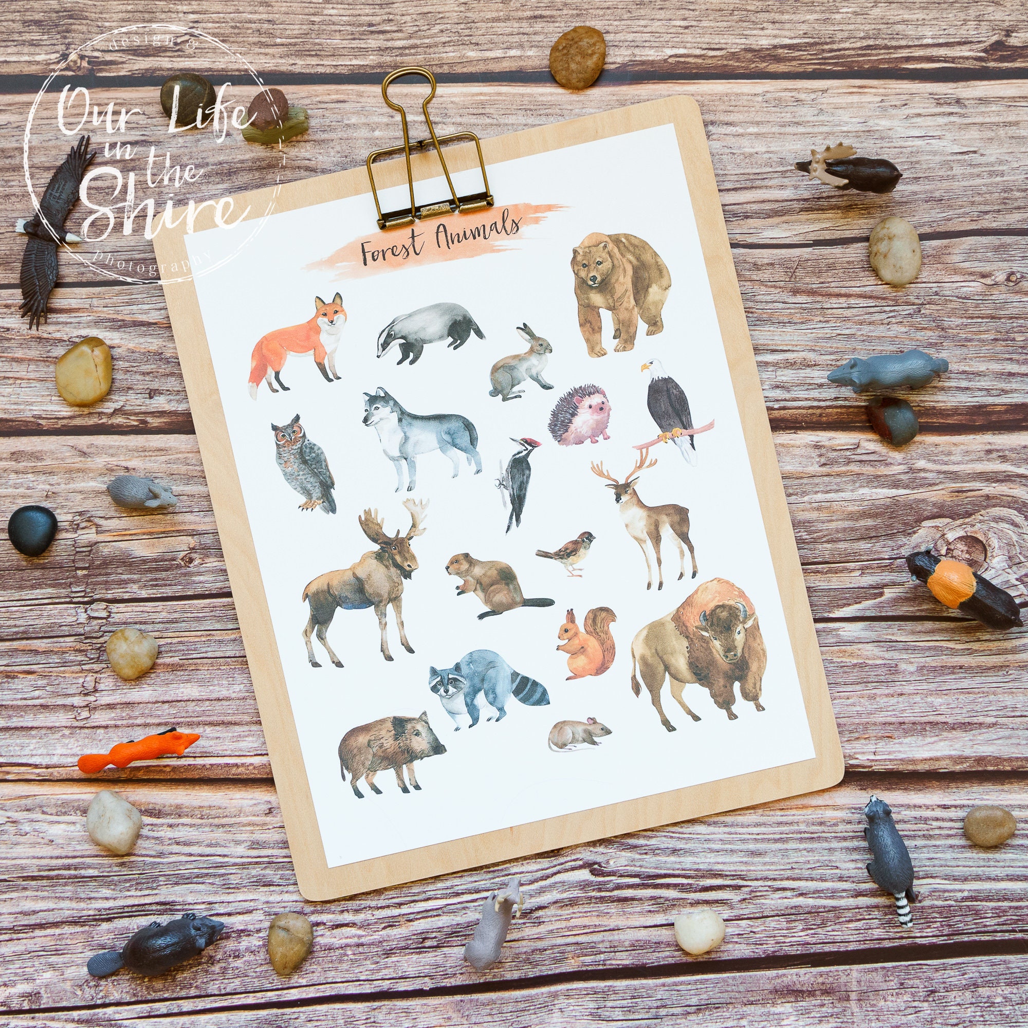 Montessori Forest Animals, Homeschool Printable Activities, Preschool ...