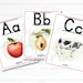 Farm Theme, Alphabet Posters, Flash Cards, Classroom Decor, Homeschool ...
