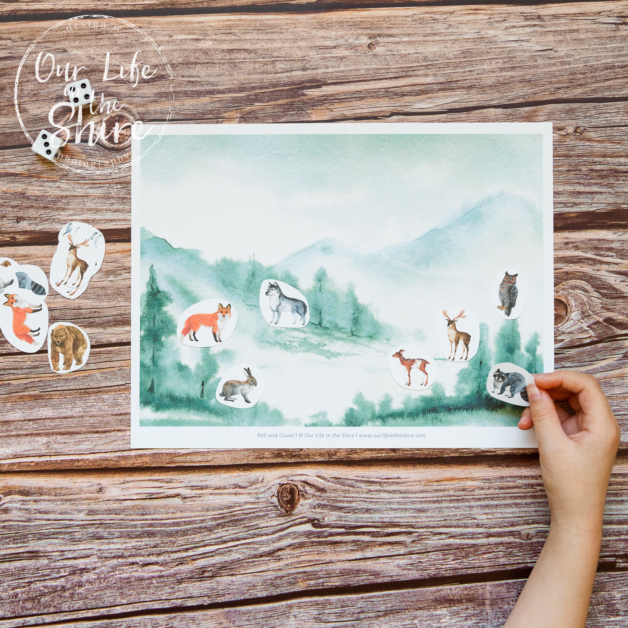 Montessori Forest Animals Homeschool Printable Activities - Etsy