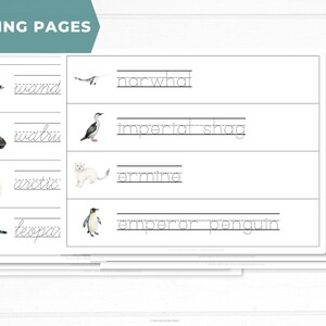 Polar Animals Early Learning Activities, Kindergarten, Homeschool ...