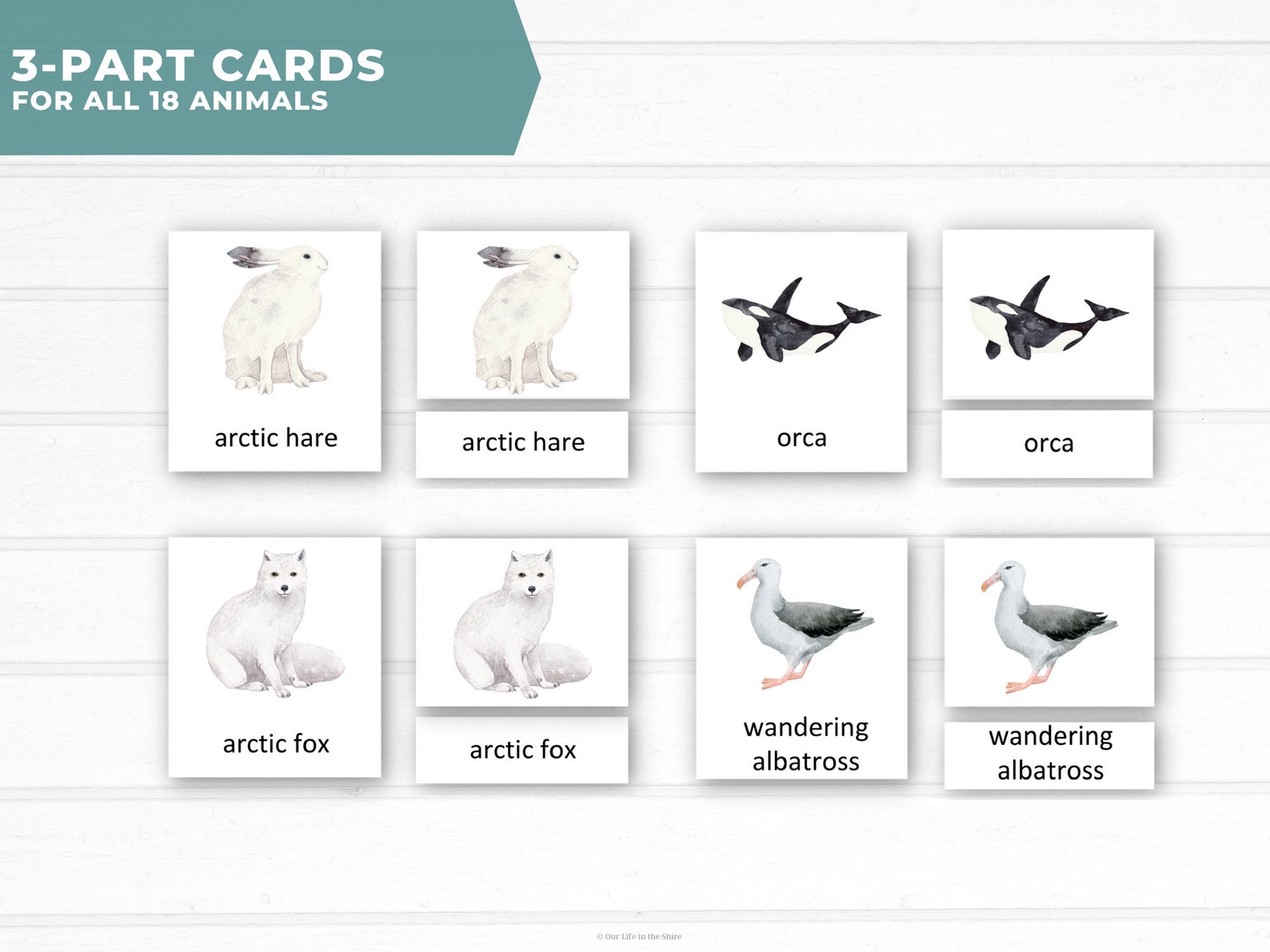 Polar Animals Early Learning Activities Kindergarten - Etsy