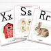 Farm Theme, Alphabet Posters, Flash Cards, Classroom Decor, Homeschool ...