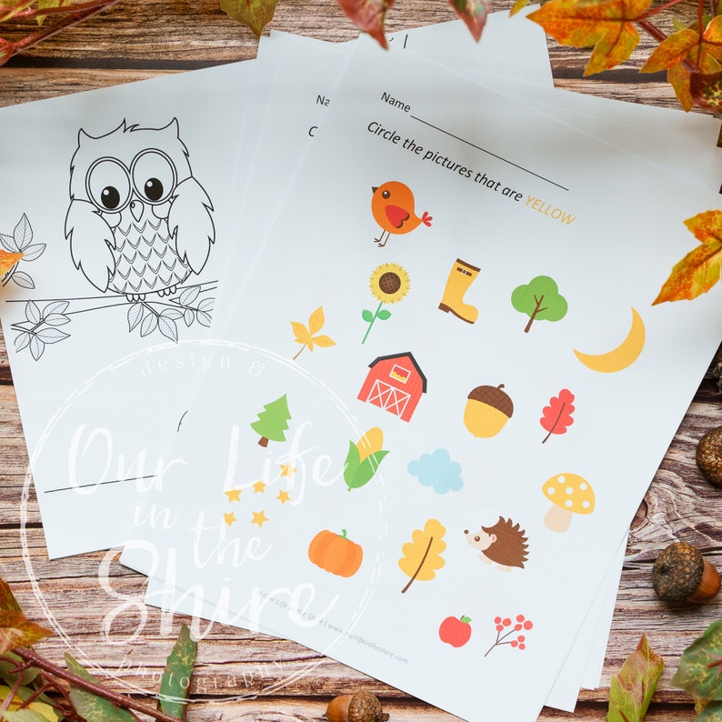 Fall Forest Friends Fun & Games Homeschool Printable - Etsy