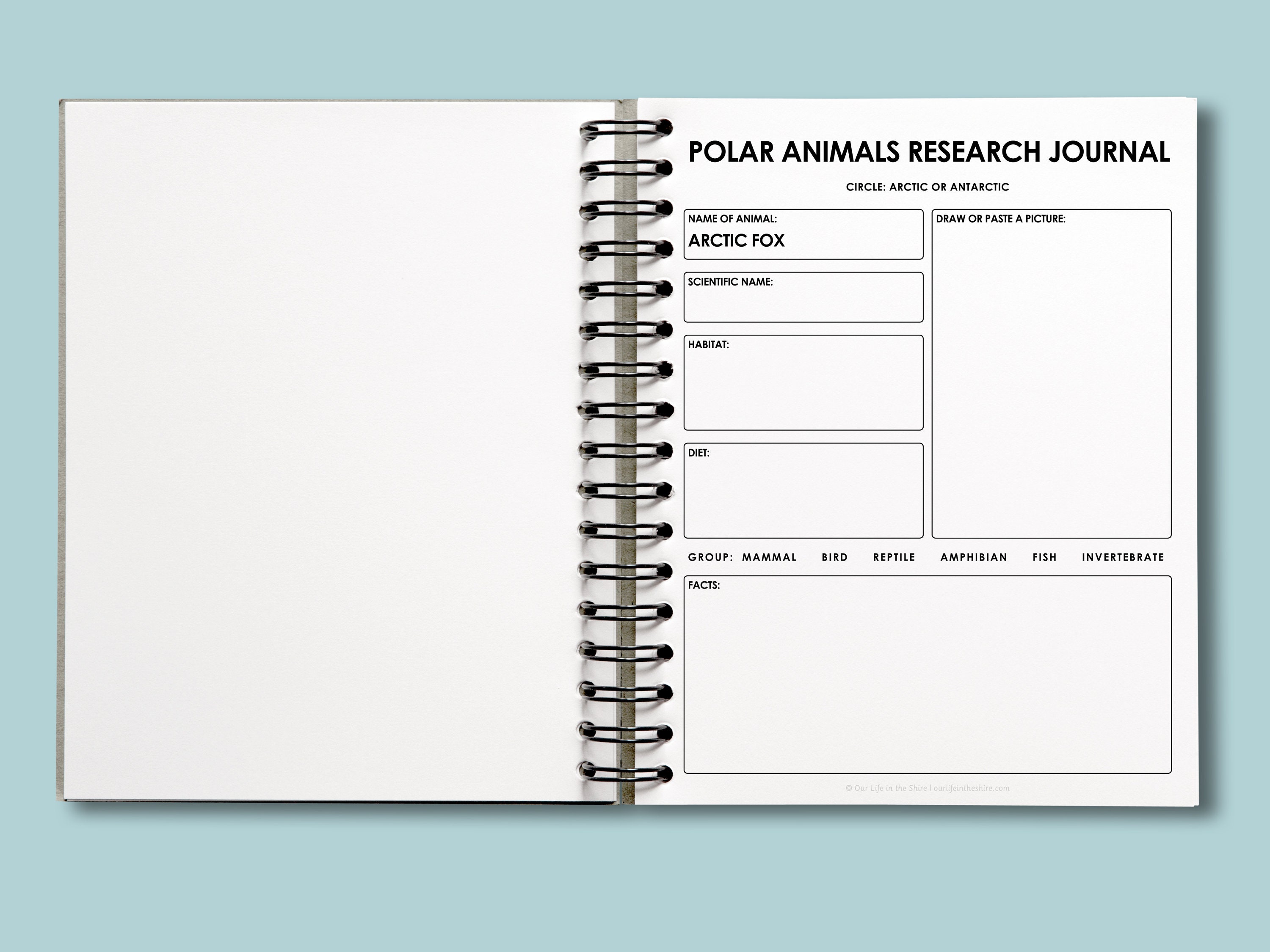 Polar Animals Research Journal and Fact Cards Science Unity | Etsy