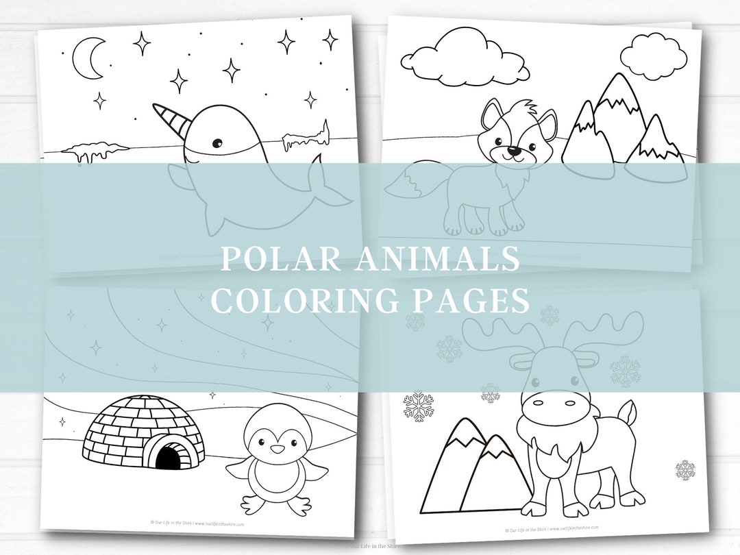 Polar Animals Coloring Pages, Activities for Kids, Toddlers, Preschool ...