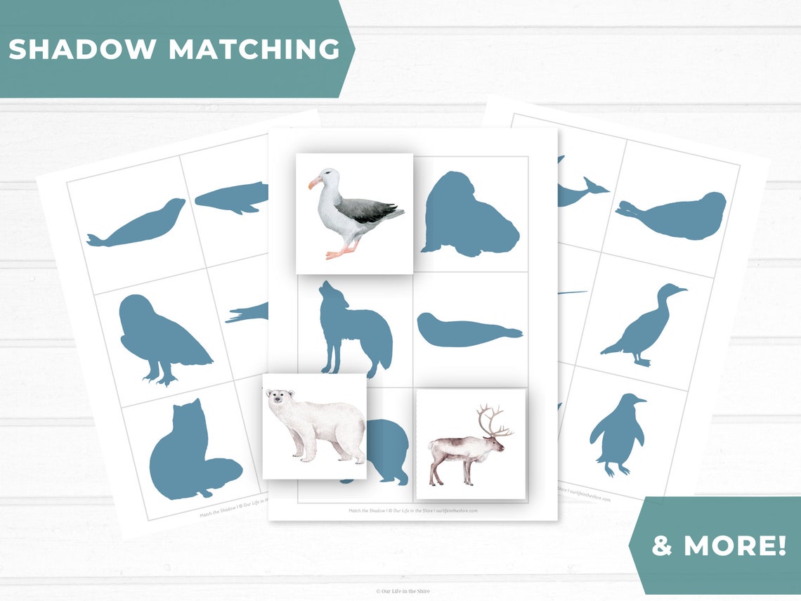 Polar Animals Early Learning Activities Kindergarten - Etsy