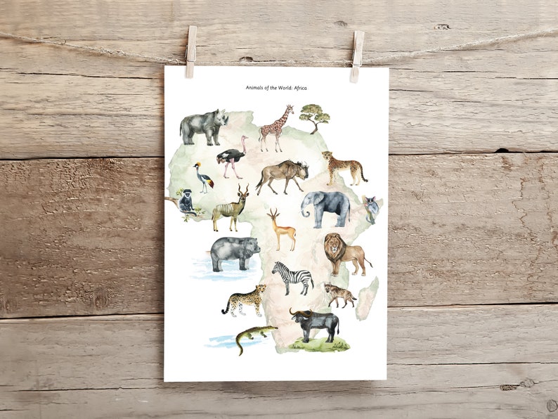 African Safari Animals Early Learning Bundle Kindergarten - Etsy