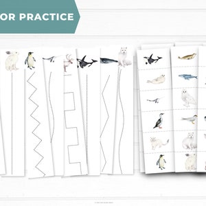 Polar Animals Early Learning Activities, Kindergarten, Homeschool ...