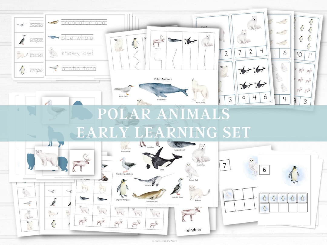 Polar Animals Early Learning Activities, Kindergarten, Homeschool ...