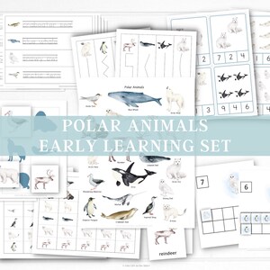 Polar Animals - Etsy