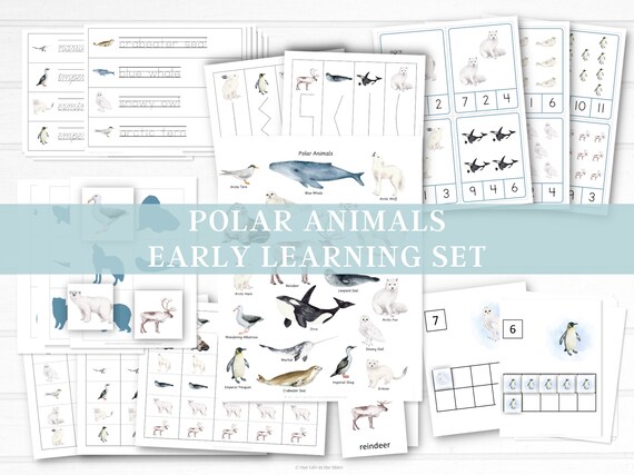 Polar Animals Early Learning Activities Kindergarten - Etsy