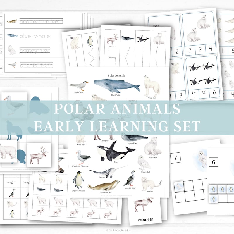 Polar Animals - Etsy