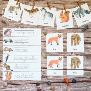Montessori Forest Animals, Homeschool Printable Activities, Preschool ...