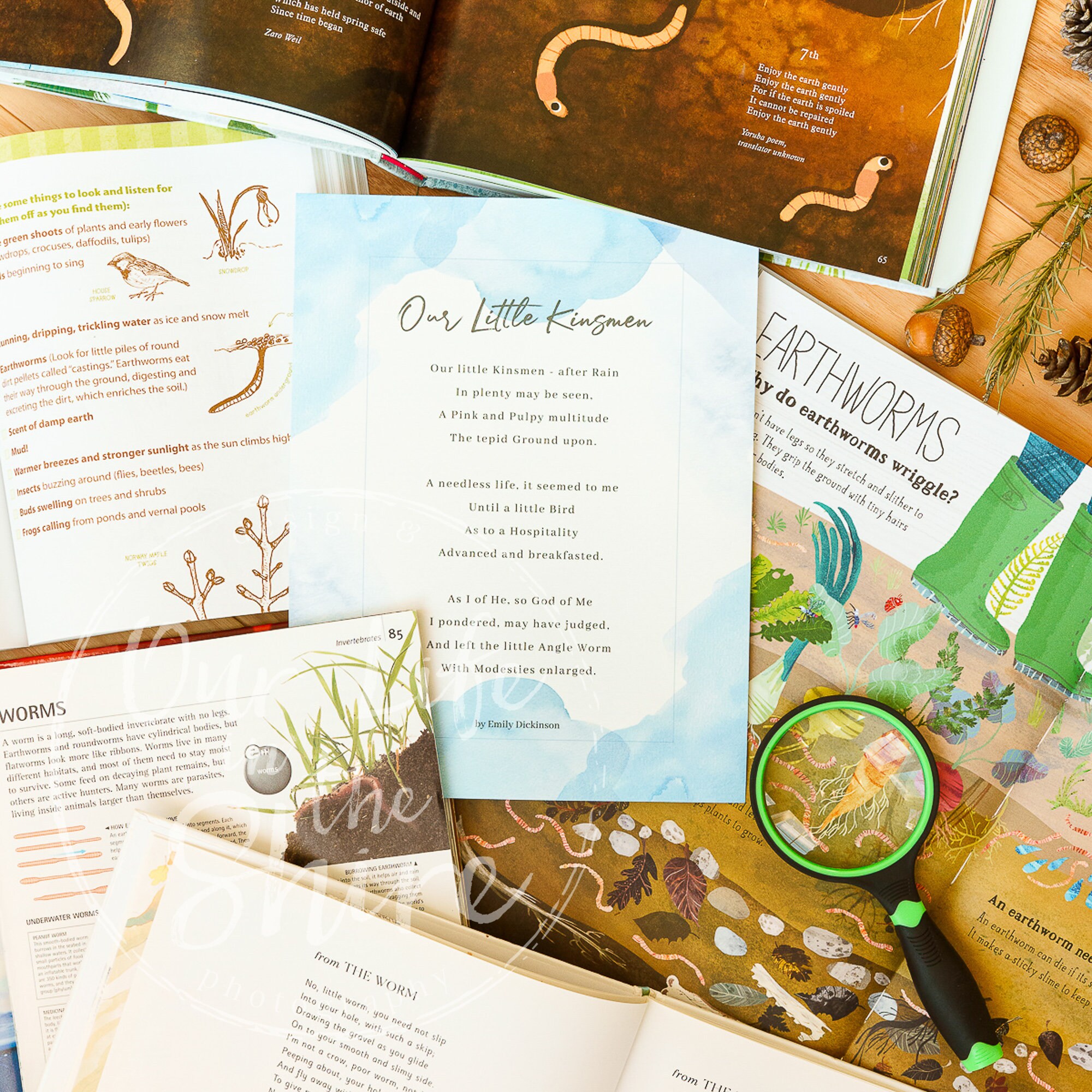 Winter Nature Poems Printable Set Wall Art Homeschool | Etsy